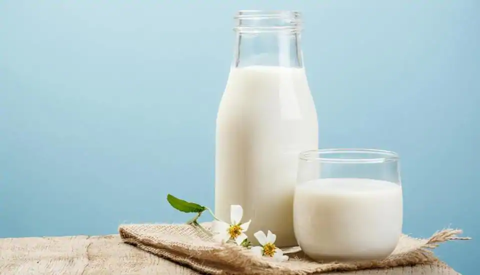 How To Drink Milk Properly – Apex of Men